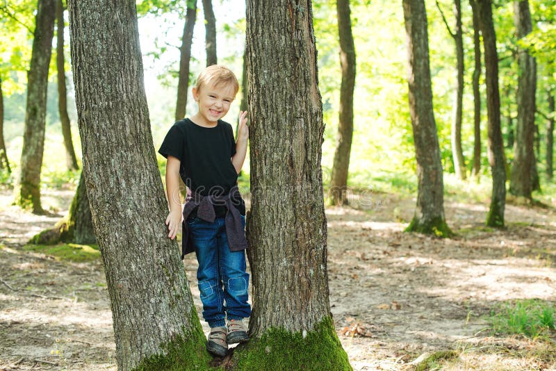 Cute Blond Boy Playing between Tree Trunks in Sunny Park. Stock Image ...
