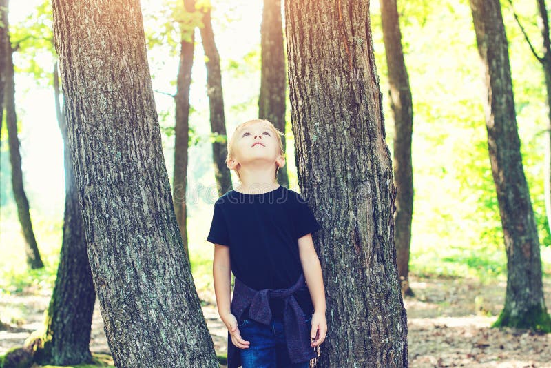 Cute Blond Boy Playing between Tree Trunks in Sunny Park. Stock Photo ...