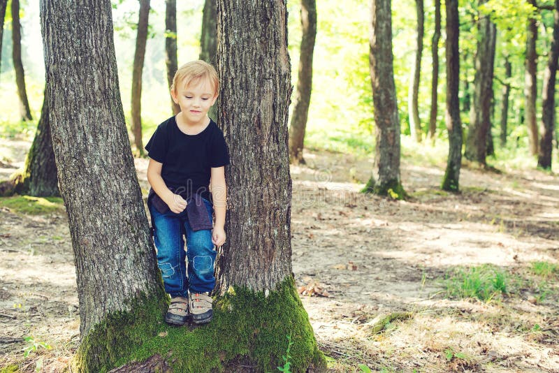 Cute Blond Boy Playing between Tree Trunks in Sunny Park. Stock Image ...
