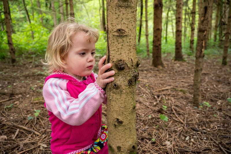 Cute Blonde Girl Holding Pine Tree Trunk. Stock Image - Image of forest ...