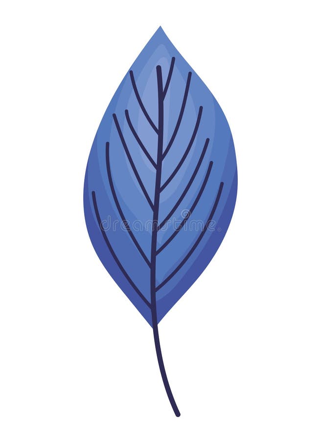 Cute blue leaf stock vector. Illustration of garden - 214644949