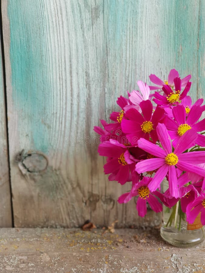 Cute Bouquet of Pink Flowers Stock Photo - Image of bouquet, nature ...