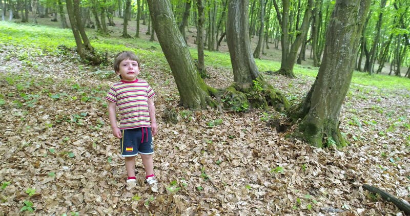 Cute Boy Crying in Forest after Falling Stock Video - Video of ...