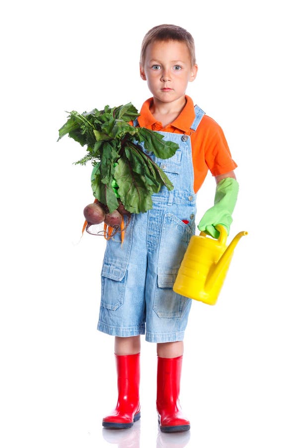 Cute boy gardener stock photo. Image of elementary, radish - 71190906