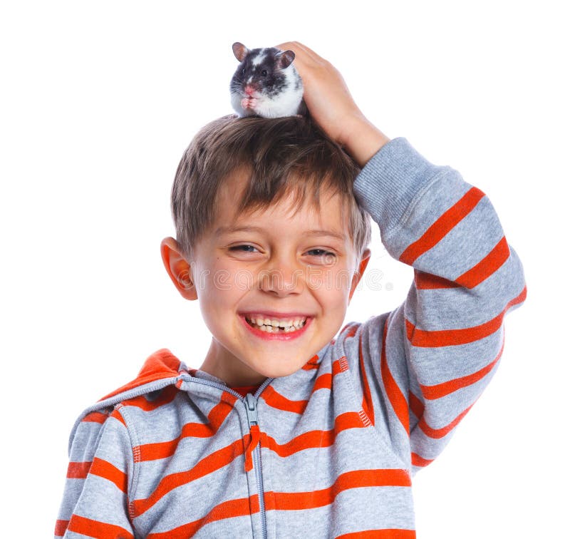 424 Cute Hamster Boy Stock Photos - Free & Royalty-Free Stock Photos ...