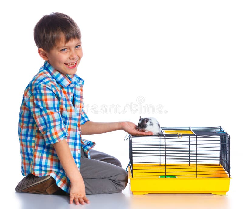 422 Cute Hamster Boy Stock Photos - Free & Royalty-Free Stock Photos ...