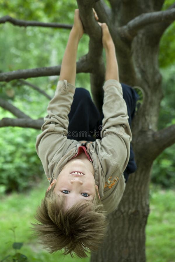 16+ Boy hanging tree Free Stock Photos - StockFreeImages