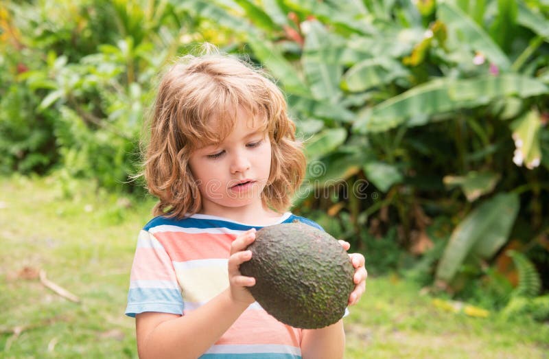 Cute Boy Hold Avocado, Close Up Portrait on Nature Background. Stock ...