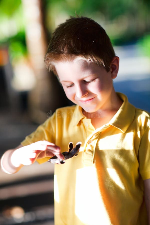 Cute Boy Holding Baby Turtle Stock Photo - Image of holding, wildlife ...