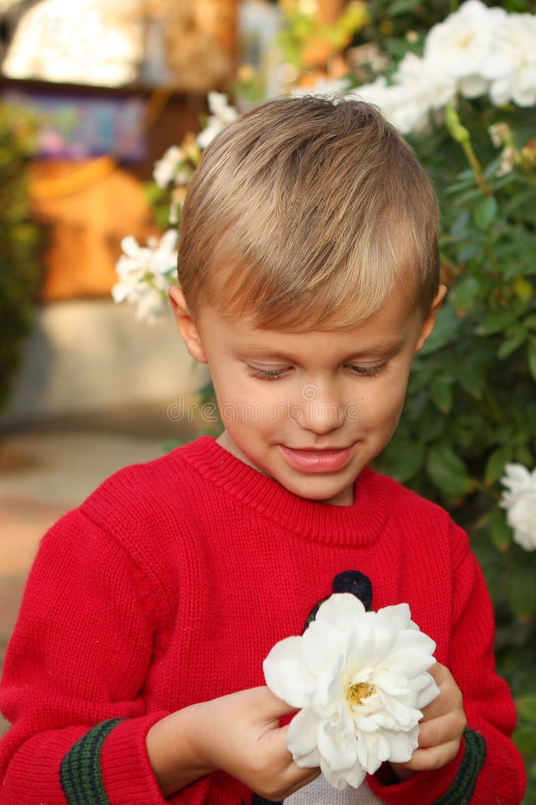 8,143 Boy Rose Stock Photos - Free & Royalty-Free Stock Photos from ...