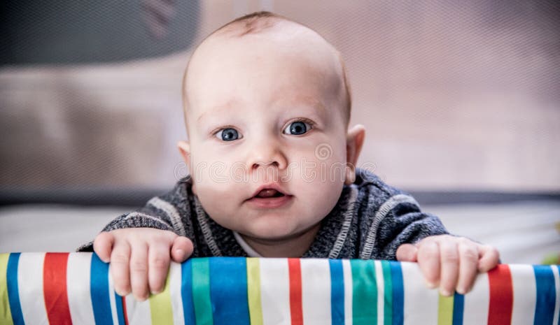 Cute boy look stock photo. Image of cute, infant, child - 101167280
