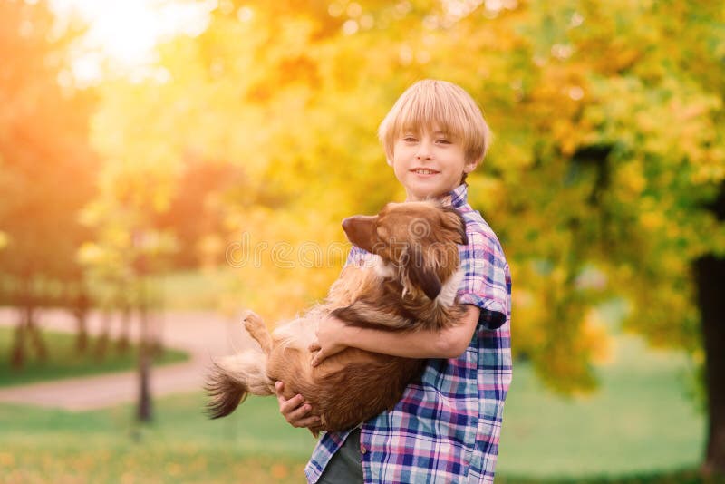 Cute Boy Playing and Walking with His Dog in a Meadow. Stock Image ...