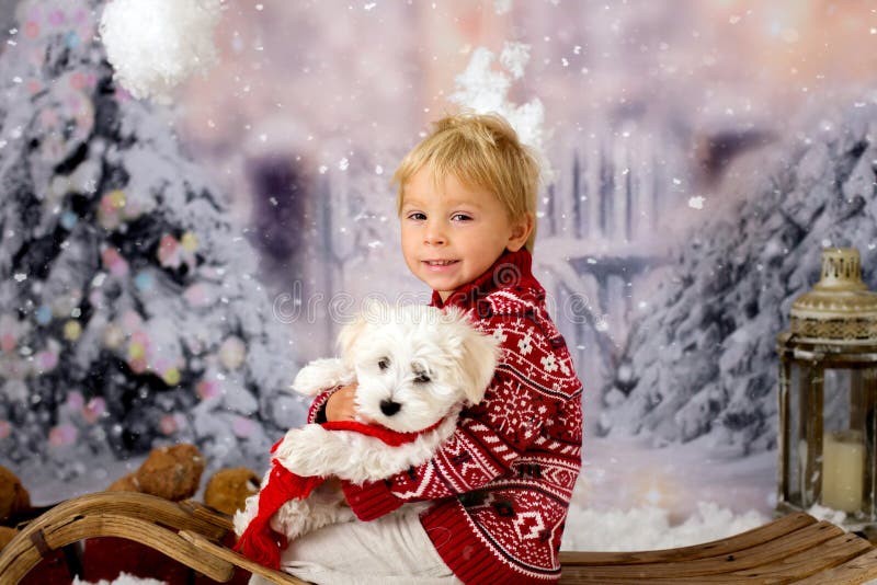 Cute Boy, Preschool Child, Playing in the Snow Outdoors Stock Photo ...