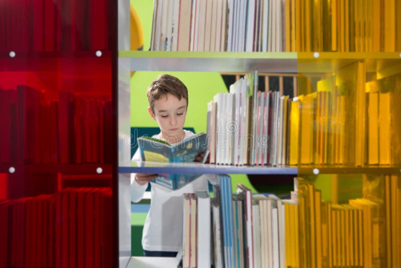 Cute Boy Reading Book in Library Stock Image - Image of child, academic ...