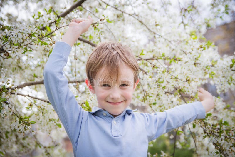 Cute Boy among Spring Blooming Tree Stock Photo - Image of green ...