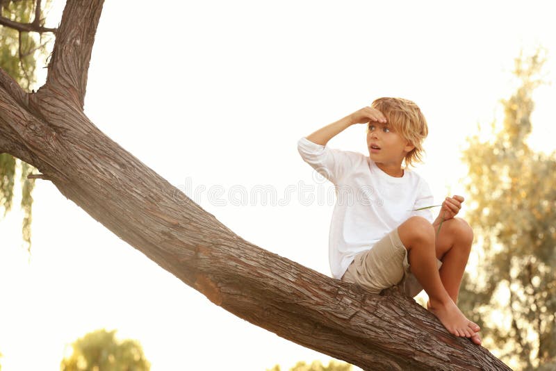 Cute Little Boy on Tree Outdoors. Child Spending Time in Nature Stock ...