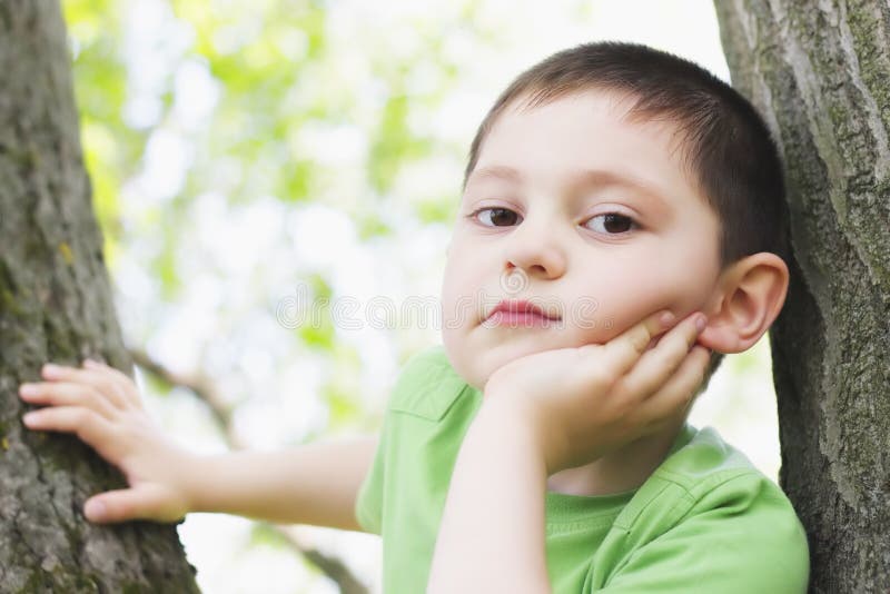 Cute Boy on Tree Looking Up Stock Image - Image of tree, jeans: 21536083