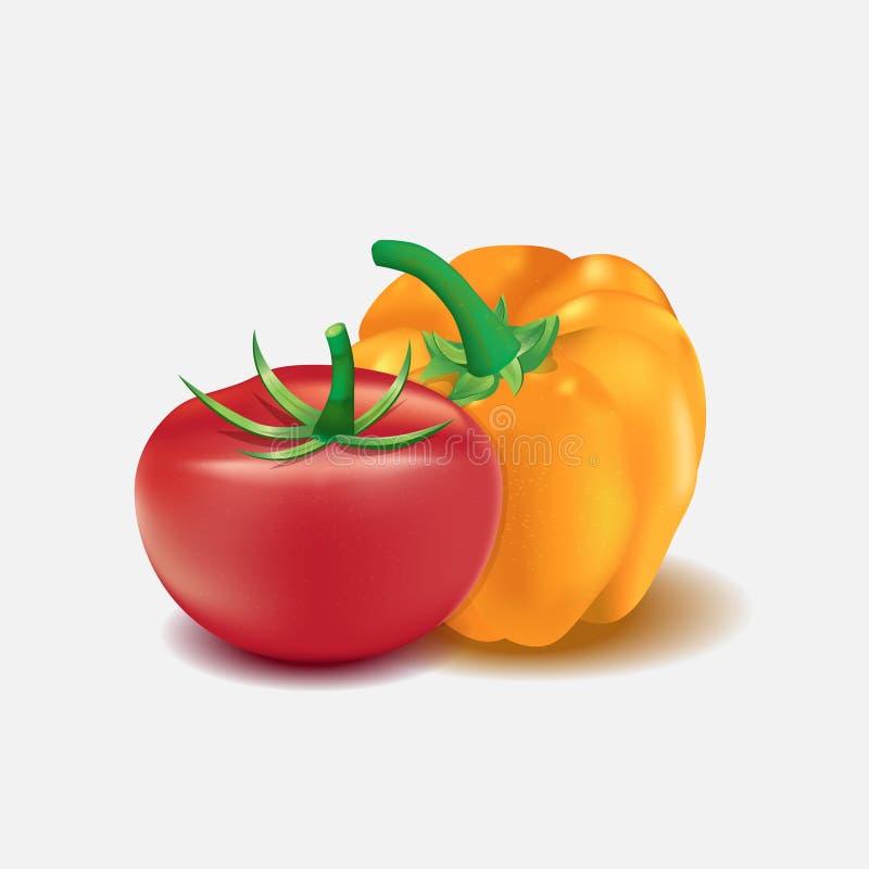 Vegetables stock vector. Illustration of snack, painting - 30191246