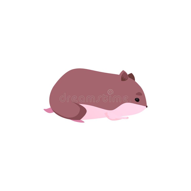 Cute Brown Hamster Side View Flat Style, Vector Illustration Stock ...