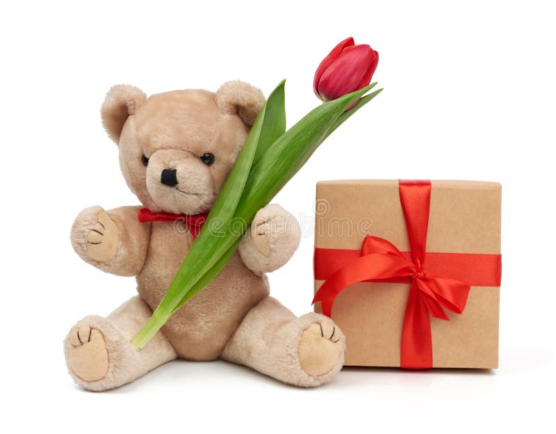 Cute Brown Teddy Bear Holds In His Paw A Bouquet Of Red Tulips Next To