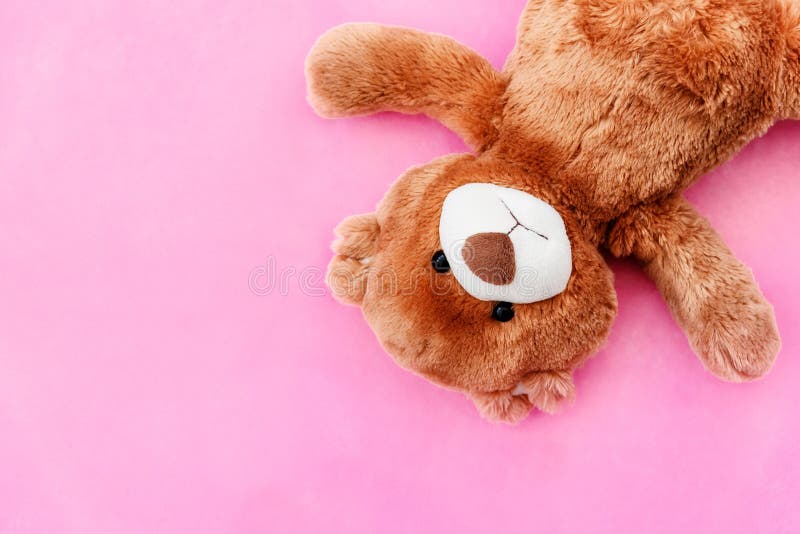 Cute Brown Teddy Bear on Pink Backdrop Stock Image - Image of beautiful ...