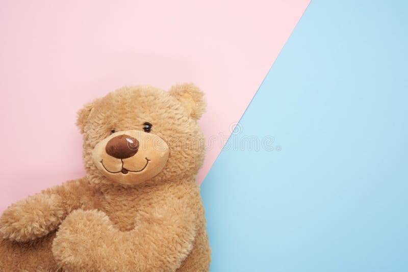 921 Teddy Top View Blue Background Stock Photos - Free & Royalty-Free ...