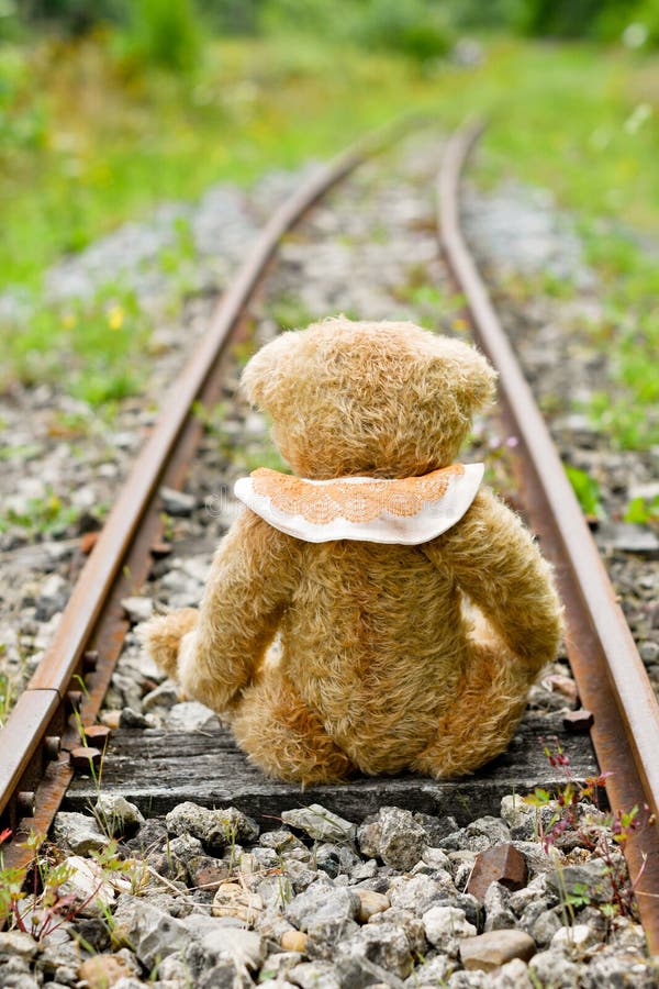 Cute Brown Teddy Bear Sits Alone on Empty Mini-rails and Looks into the ...