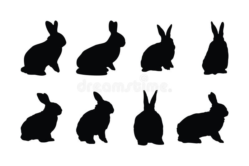 Cute Bunny Rabbit Jumping in Different Positions. Bunny Rabbit ...