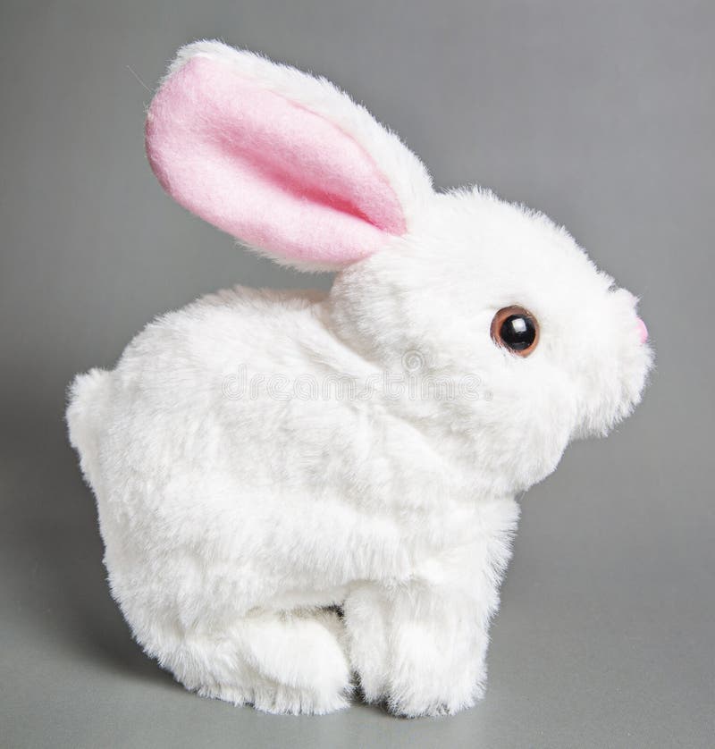 Cute Bunny and Single Easter Egg. Concept and Idea of Happy Easter Day ...