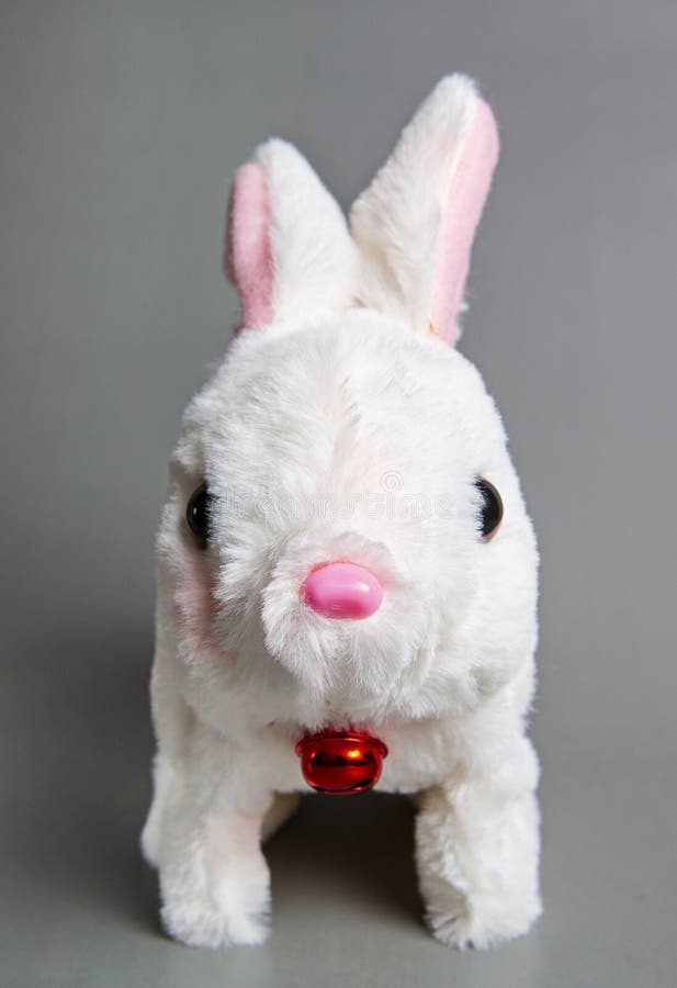 Cute Bunny and Single Easter Egg. Concept and Idea of Happy Easter Day ...