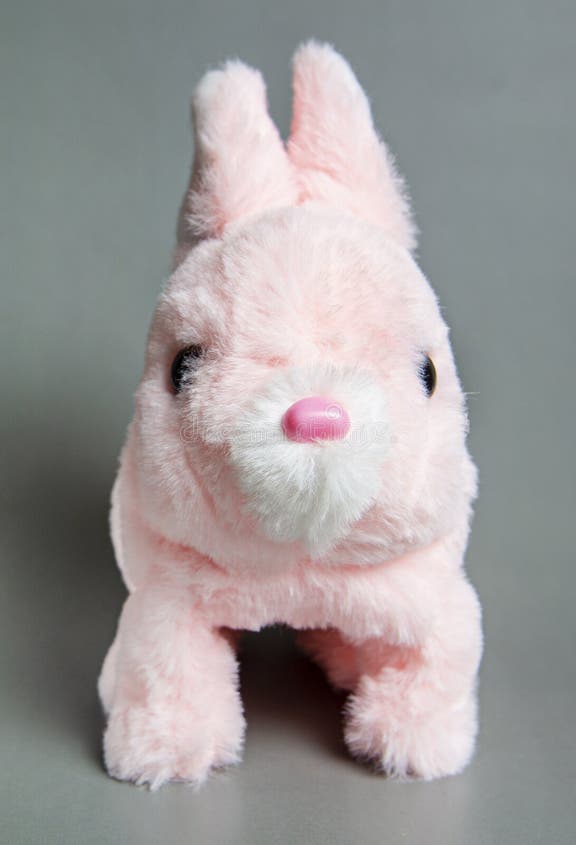 Cute Bunny and Single Easter Egg. Concept and Idea of Happy Easter Day ...