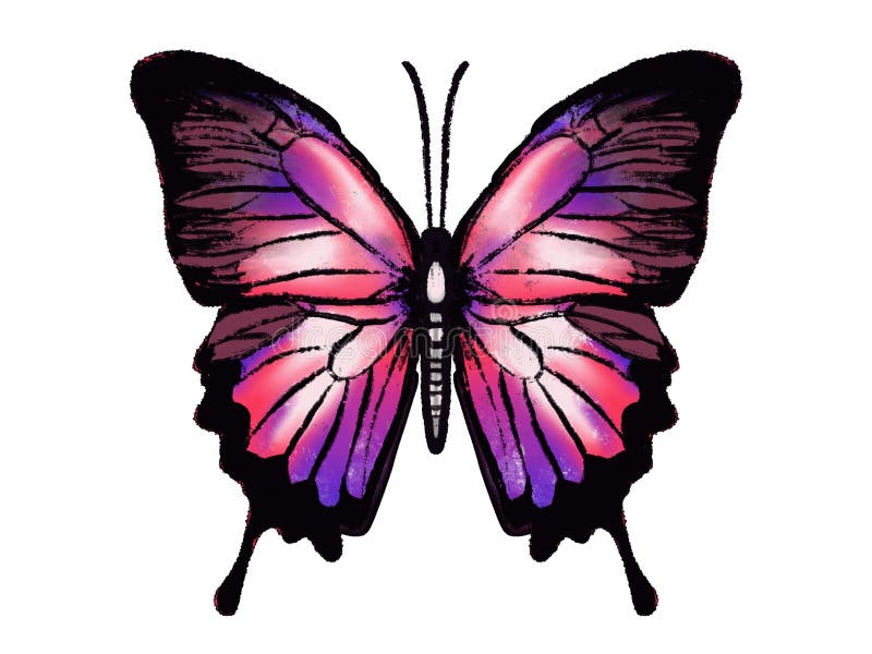 Cute Butterfly digital art stock illustration. Illustration of purple ...