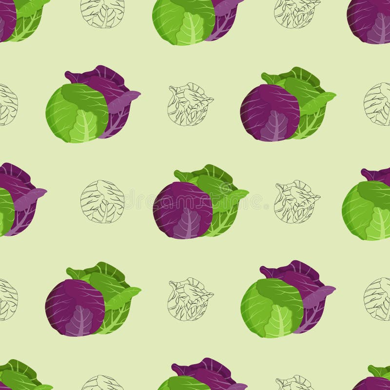 Cute Cabbage Seamless Pattern. Flat Vector Illustration Stock Vector ...