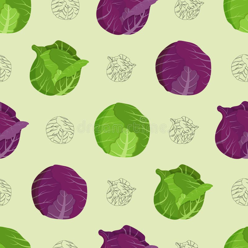 Cute Cabbage Seamless Pattern. Flat Vector Illustration Stock Vector ...