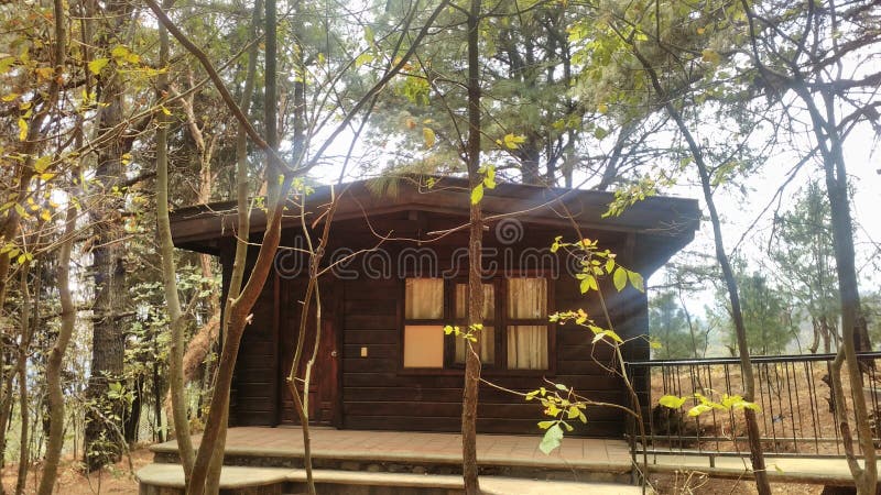 Cute Log Cabin in the Forest Stock Photo - Image of front, building ...