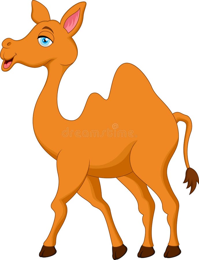 Cute camel cartoon stock vector. Illustration of isolated - 40959725