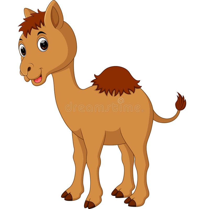 Cute camel cartoon stock vector. Illustration of face - 33242552