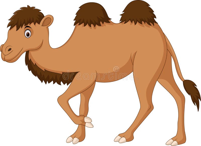Cute Camel Cartoon Isolated on White Background Stock Vector ...