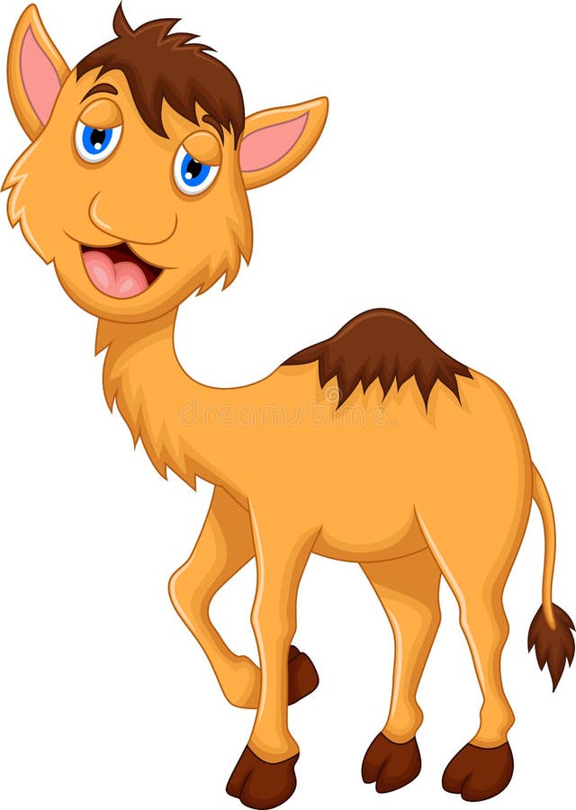 Cute camel cartoon posing stock illustration. Illustration of cartoon ...