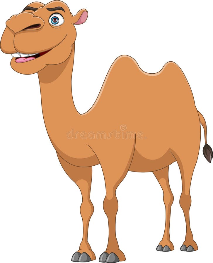 Cute camel cartoon stock vector. Illustration of design - 371581016