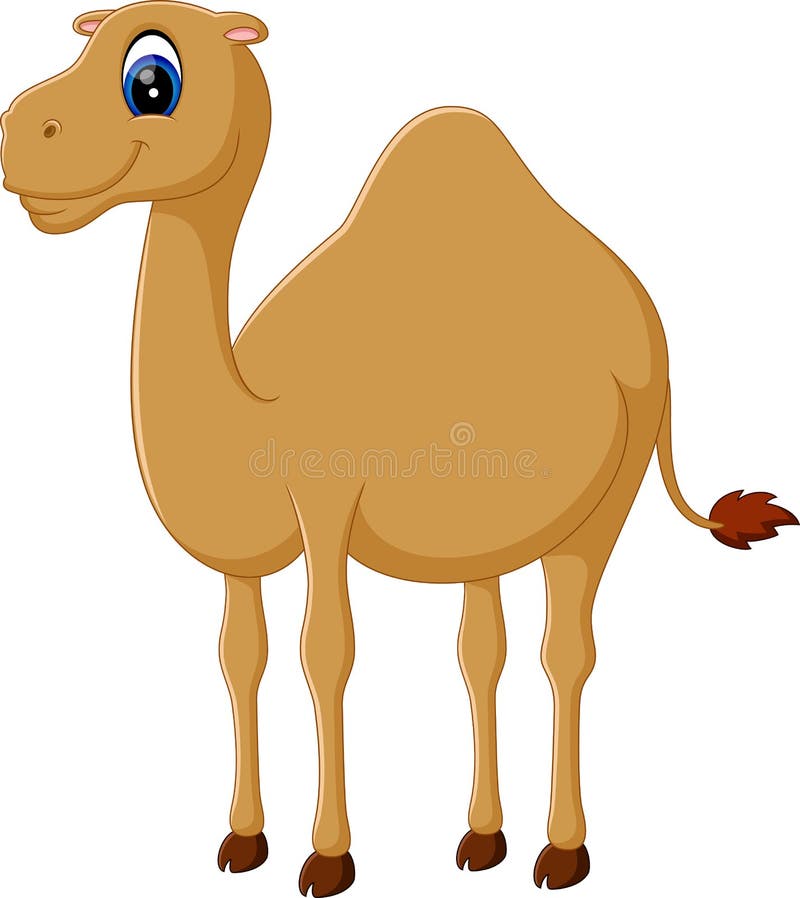 Cute camel cartoon stock vector. Illustration of isolated - 70726404