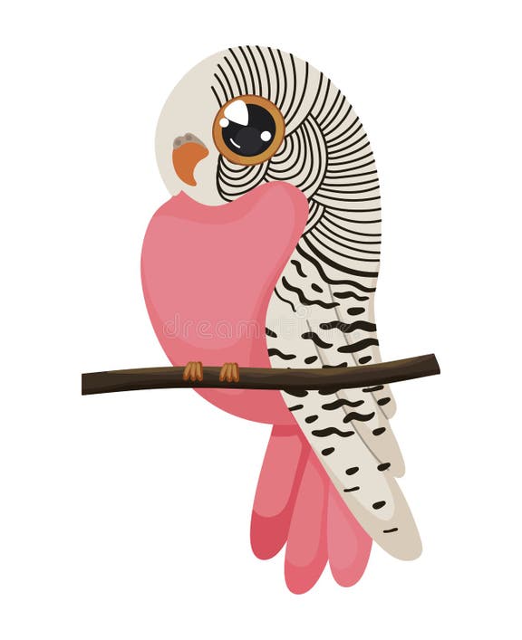 Cute canary design stock vector. Illustration of feather - 264974549