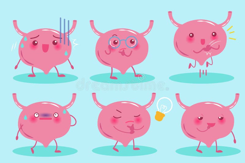 Cute cartoon bladder stock illustration. Illustration of medical - 99921619