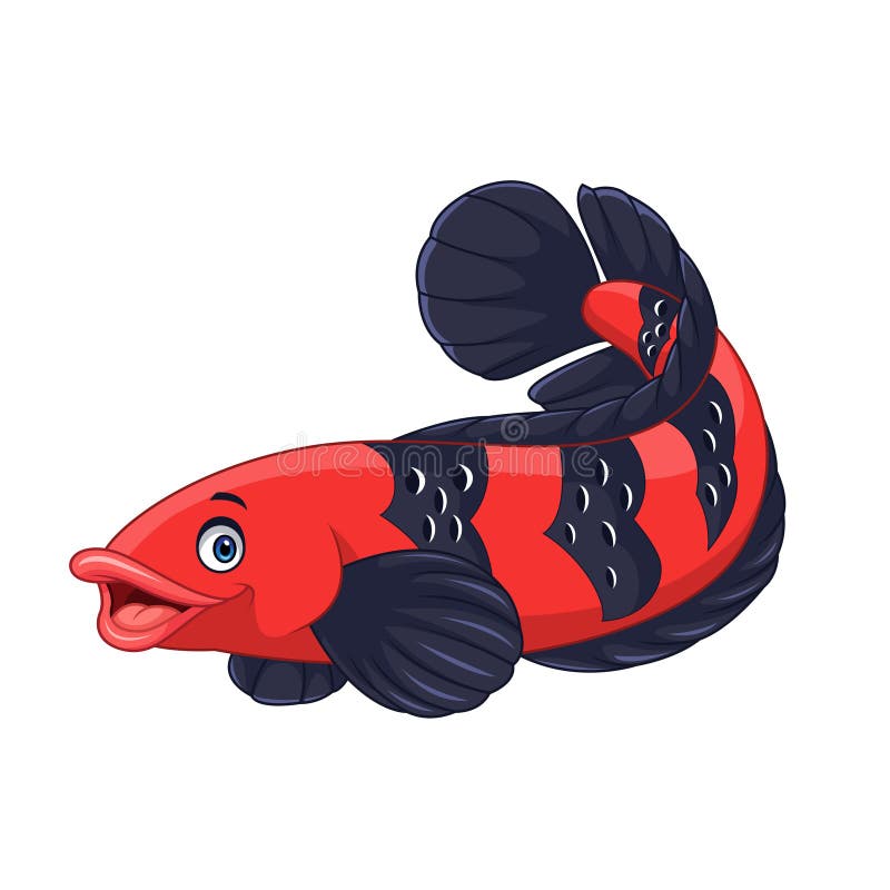 Channa Fish Vector Stock Illustrations – 159 Channa Fish Vector Stock ...