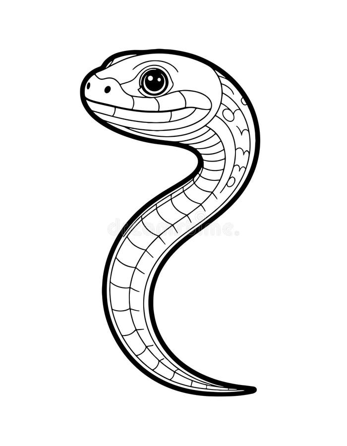 Cute Cartoon Snake Head Profile Reptile Illustration Coloring Page ...