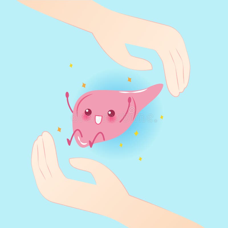 Liver Cute. Funny Internal Organ Cartoon Style. Human Anatomy Kids ...