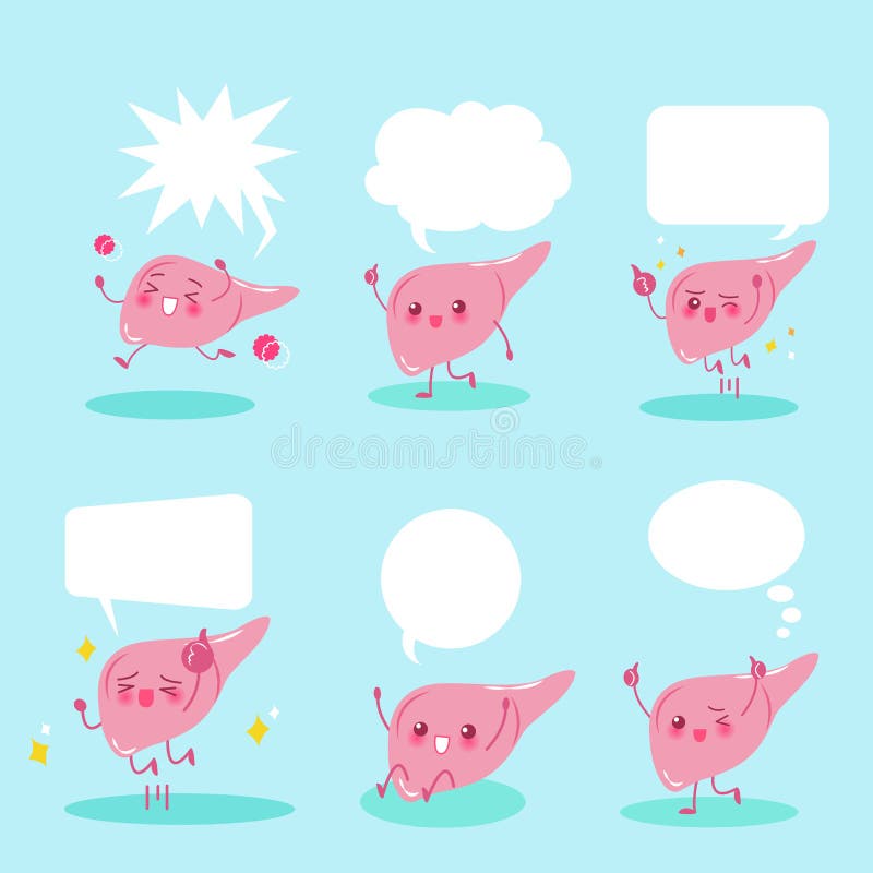 Cute cartoon liver stock vector. Illustration of anatomy - 95809034