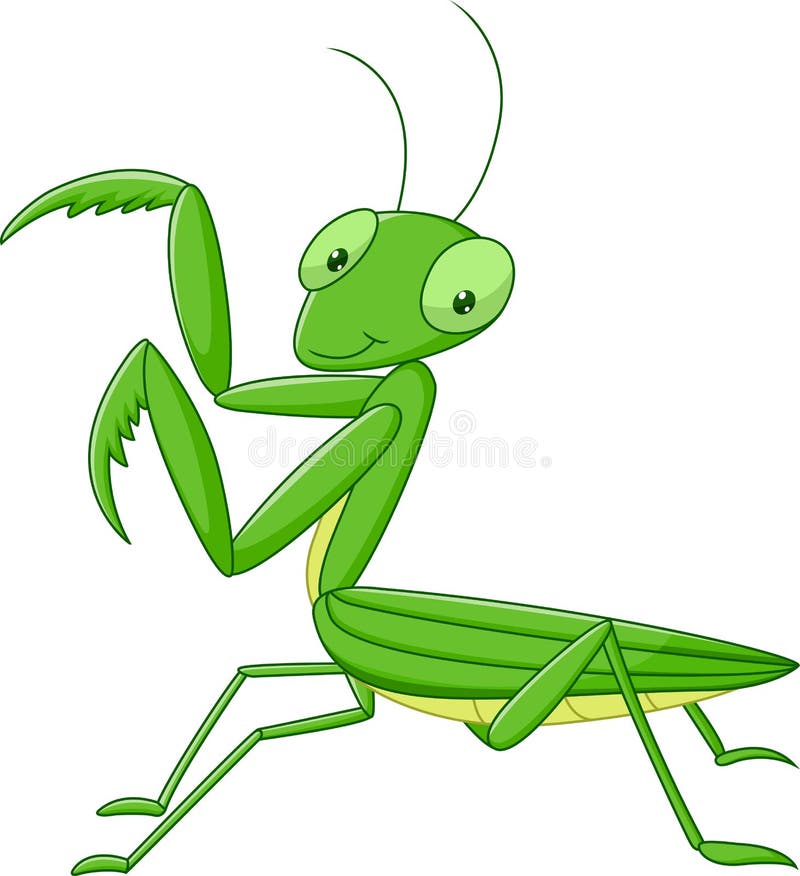 Cute Cartoon Mantis Isolated on White Background Stock Vector ...