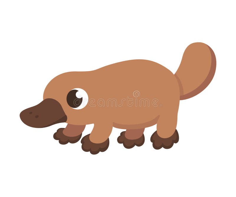 Cartoon Platypus Smiling stock vector. Illustration of young - 47475681