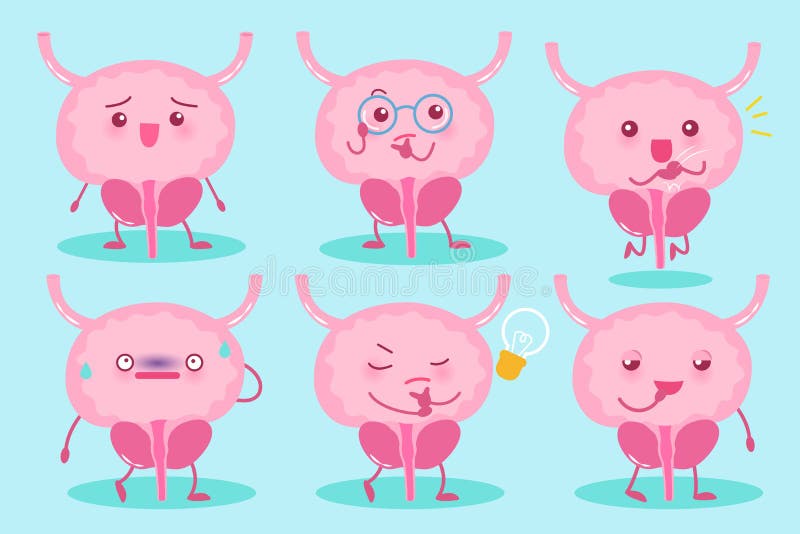 Cute cartoon prostate stock illustration. Illustration of obstruction ...